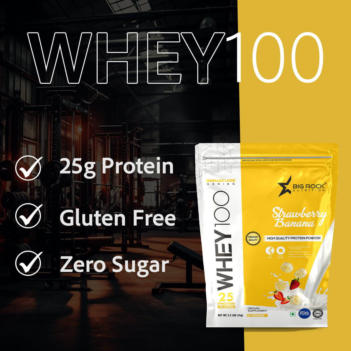 Bigrock Nutrition Whey 100 Protein